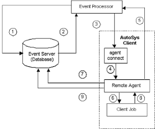 SURENDRA PULAGAM: AutoSys Cheatsheet..........